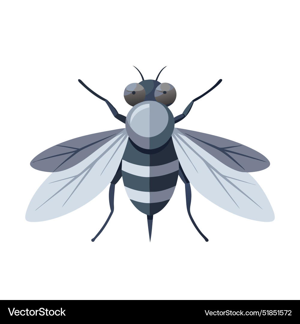 Fly Insect Flat On White Background Royalty Free Vector