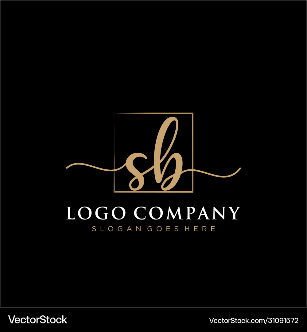 Sb initial handwriting logo with rectangle Vector Image