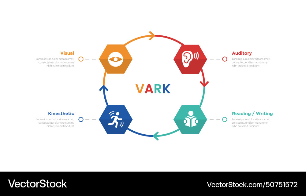 Vark learning styles infographics template Vector Image