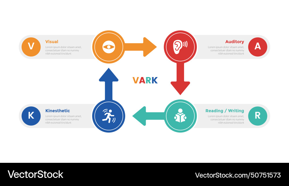 Vark learning styles infographics template Vector Image
