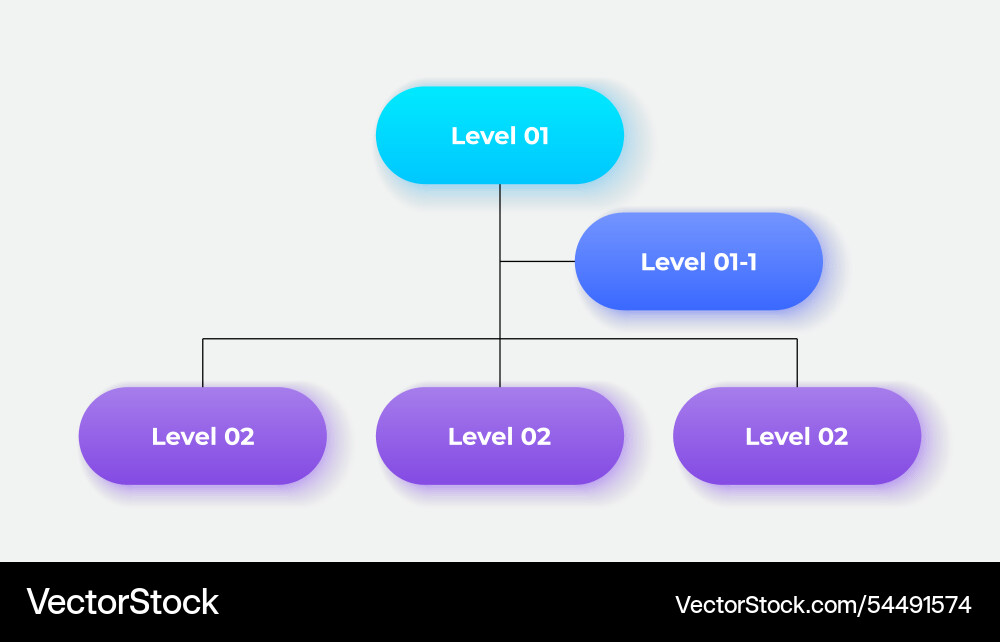 Business hierarchy chart infographics corporate Vector Image