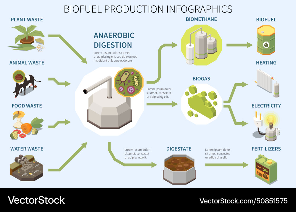Biofuel production infographics Royalty Free Vector Image