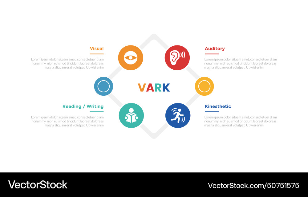 Vark learning styles infographics template Vector Image