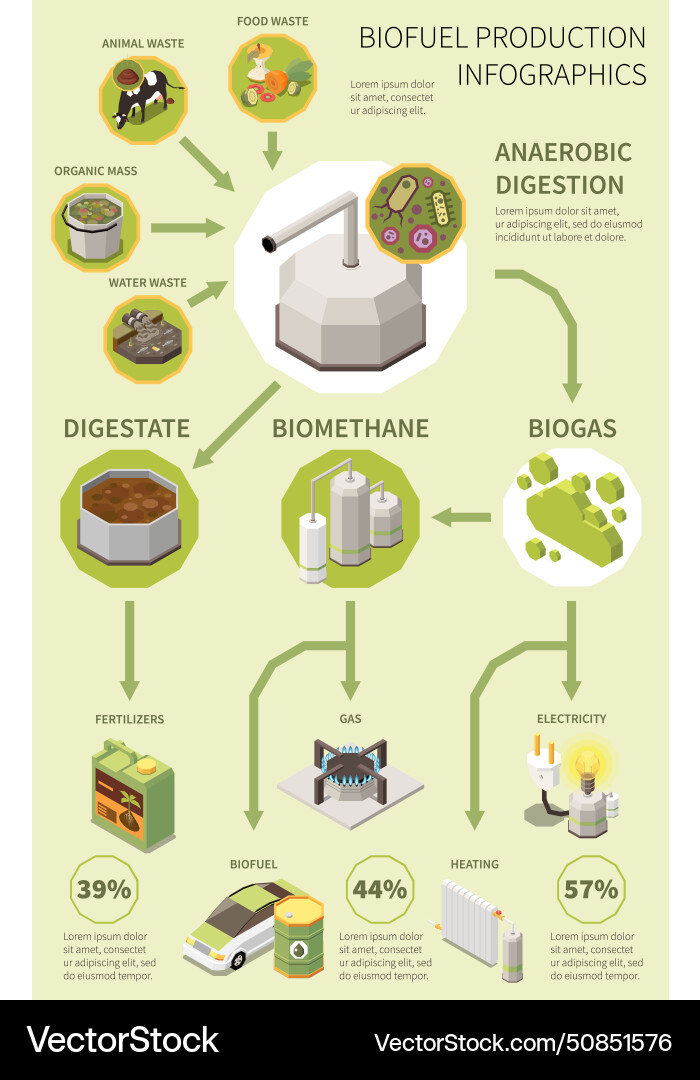 Biofuel production infographics Royalty Free Vector Image