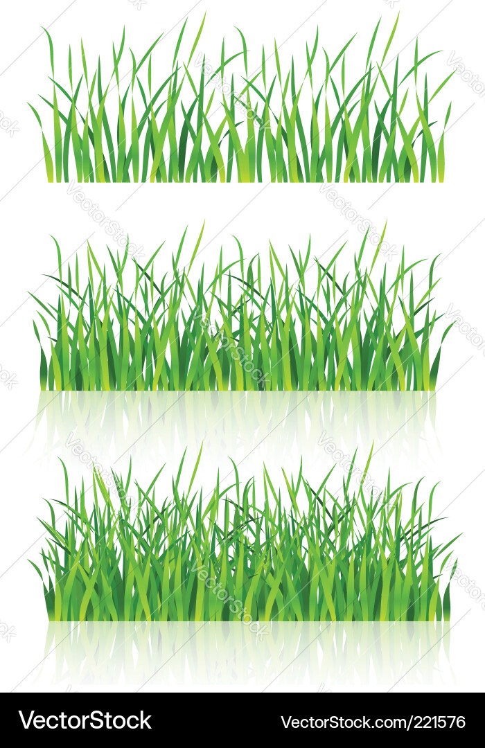 Grass Royalty Free Vector Image - VectorStock