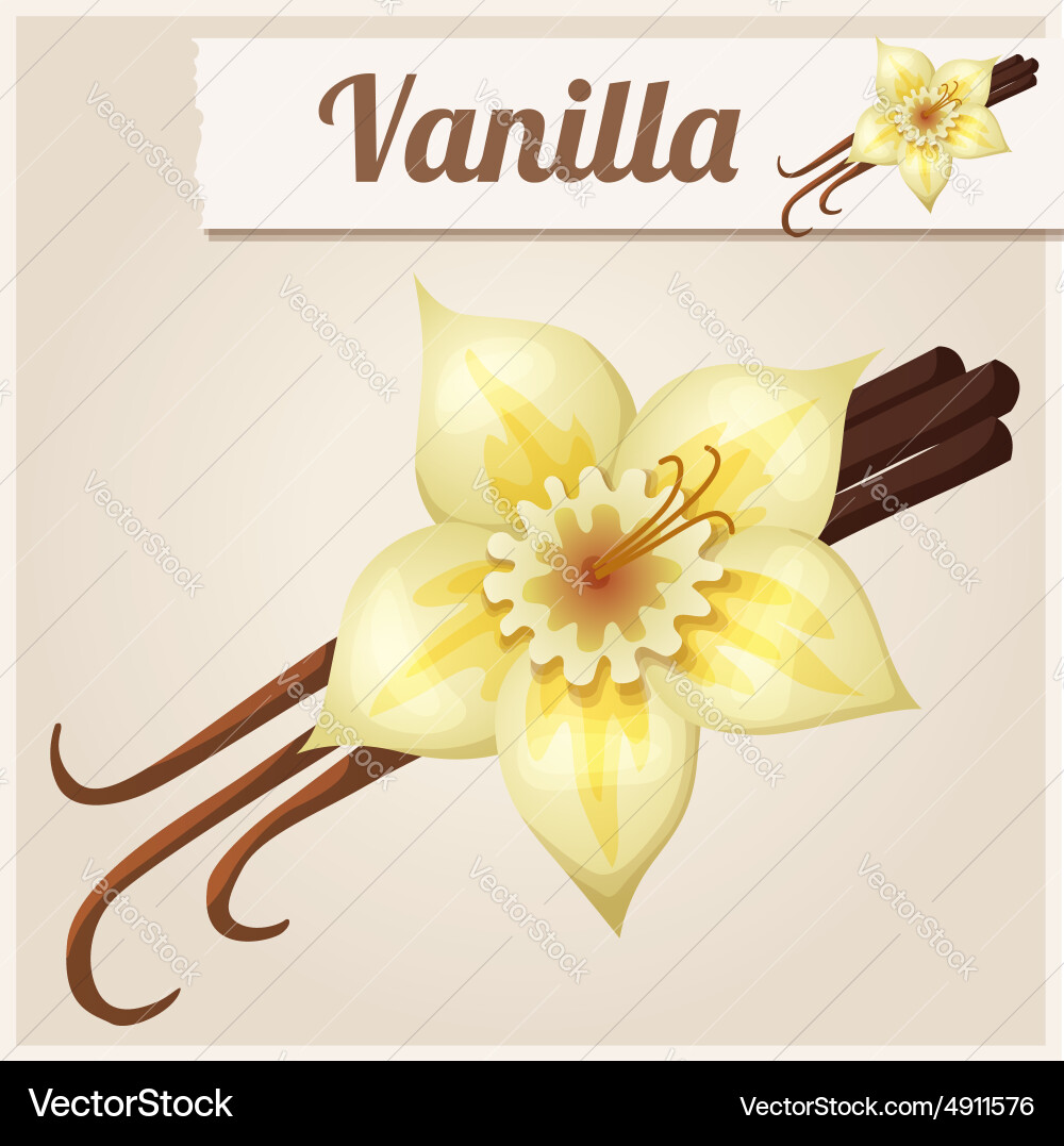 Vanilla detailed icon Royalty Free Vector Image