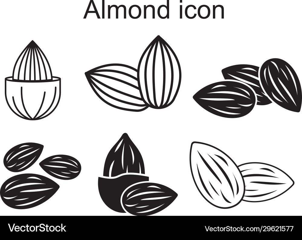 Mandel Ikone Vorlage schwarzer Farbe editierbar Vektorbild