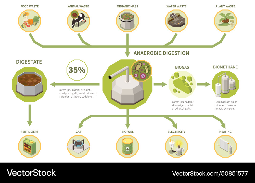 Biogas production infographics Royalty Free Vector Image