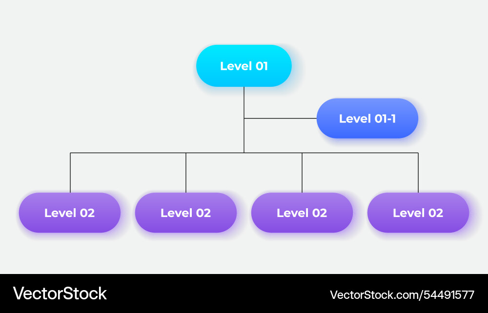 Business hierarchy chart infographics corporate Vector Image