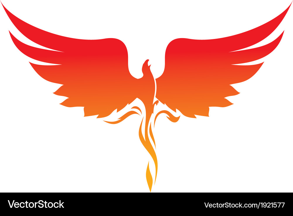 Fiery Phoenix Logo Royalty Free Vector Image - VectorStock
