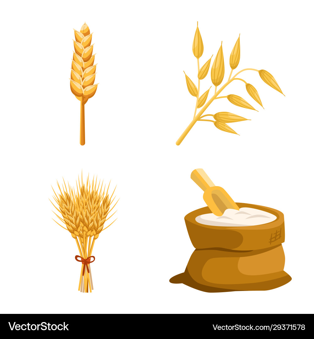 Design grain and harvest icon set Royalty Free Vector Image
