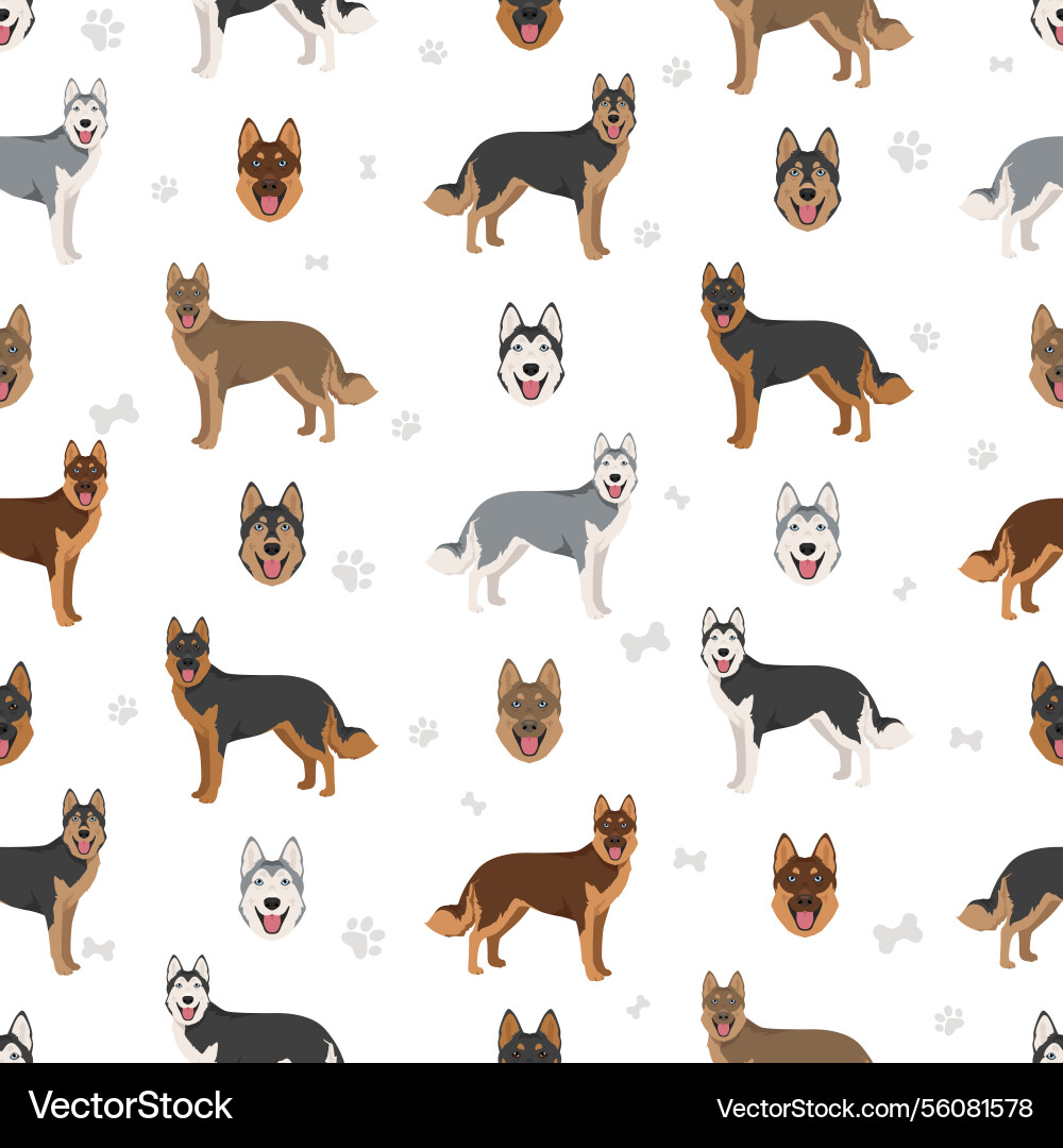 Gerberian shepsky seamless pattern german Vector Image