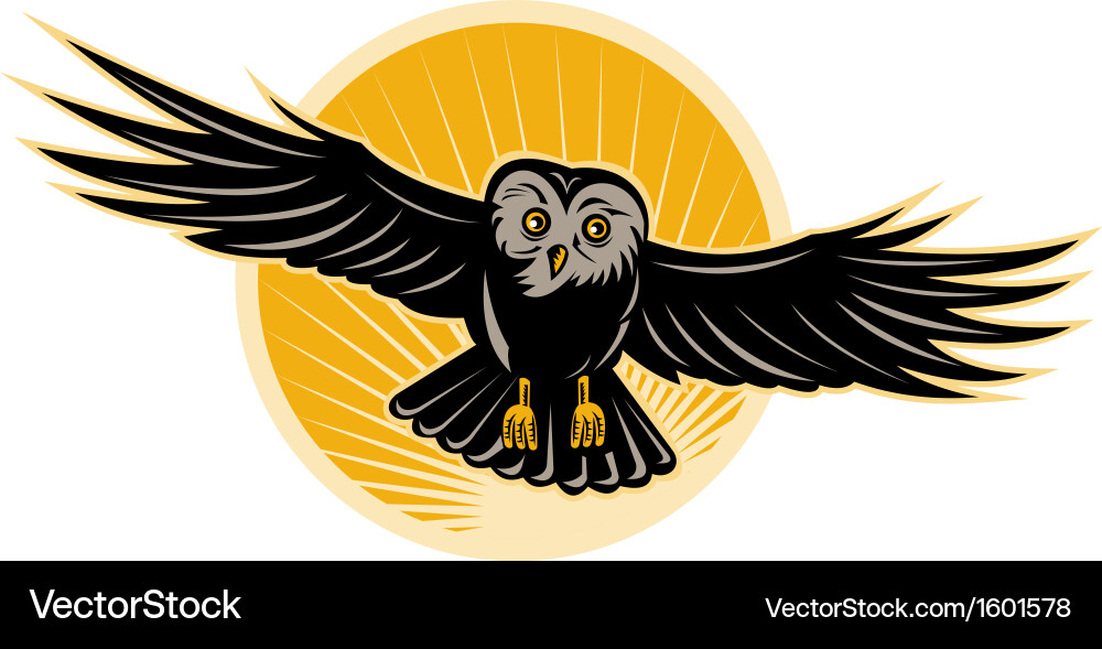Owl swooping front Royalty Free Vector Image - VectorStock