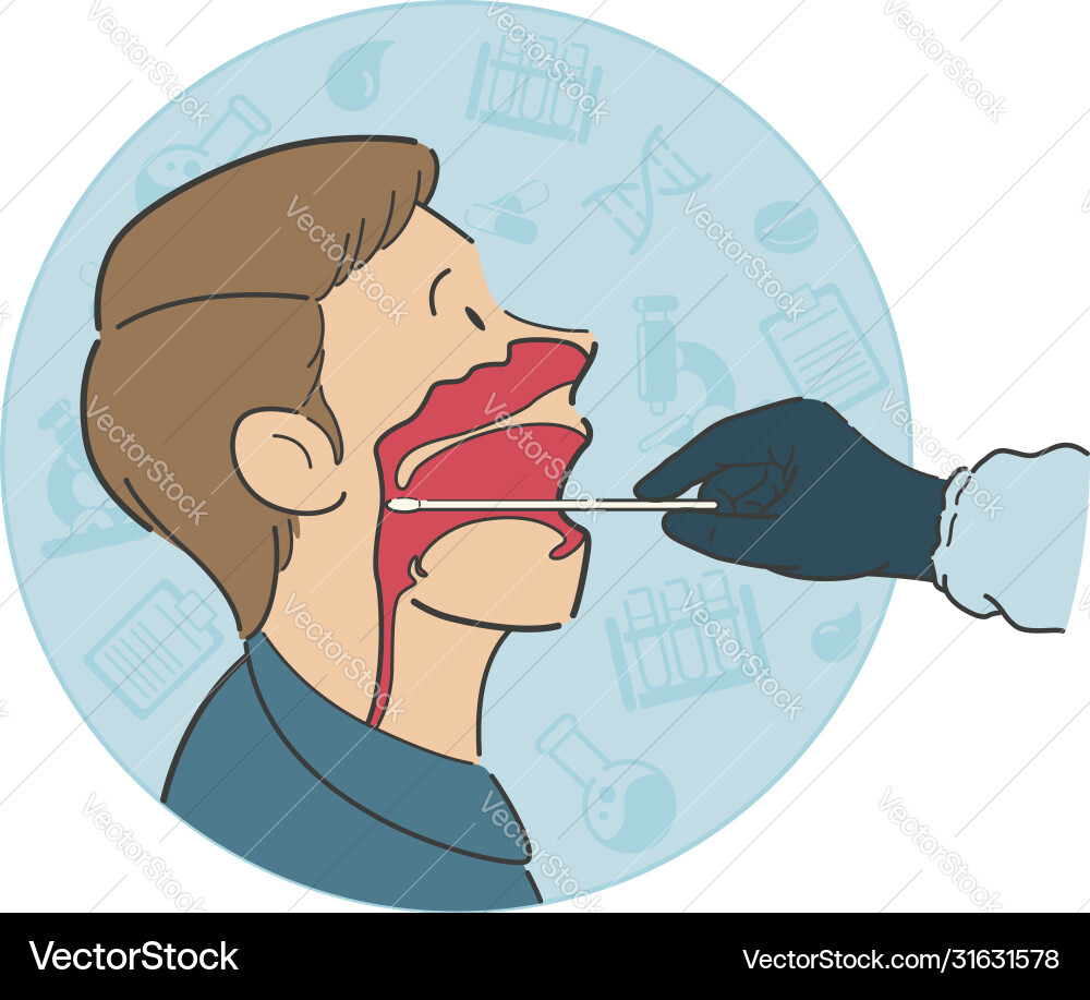 Throat swab test cross section from side view Vector Image
