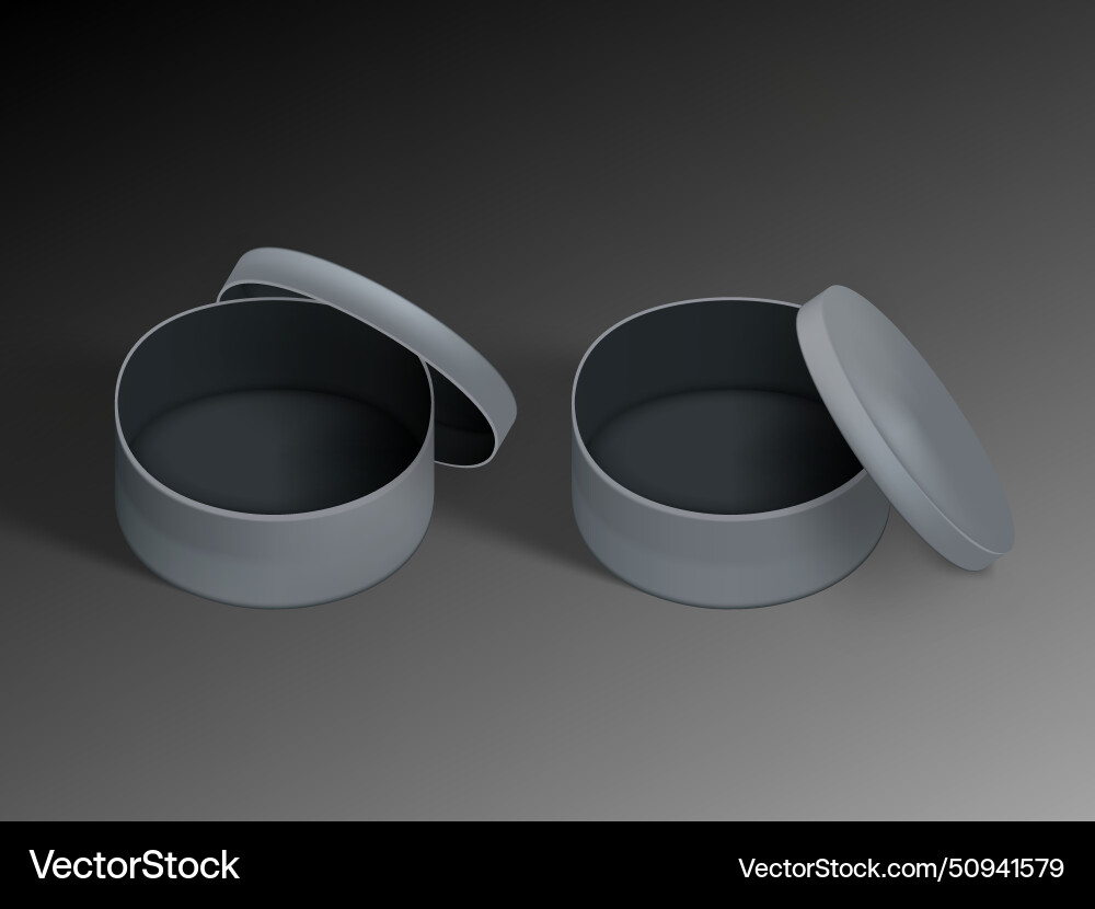 3d gray round paper box isolated on white Vector Image