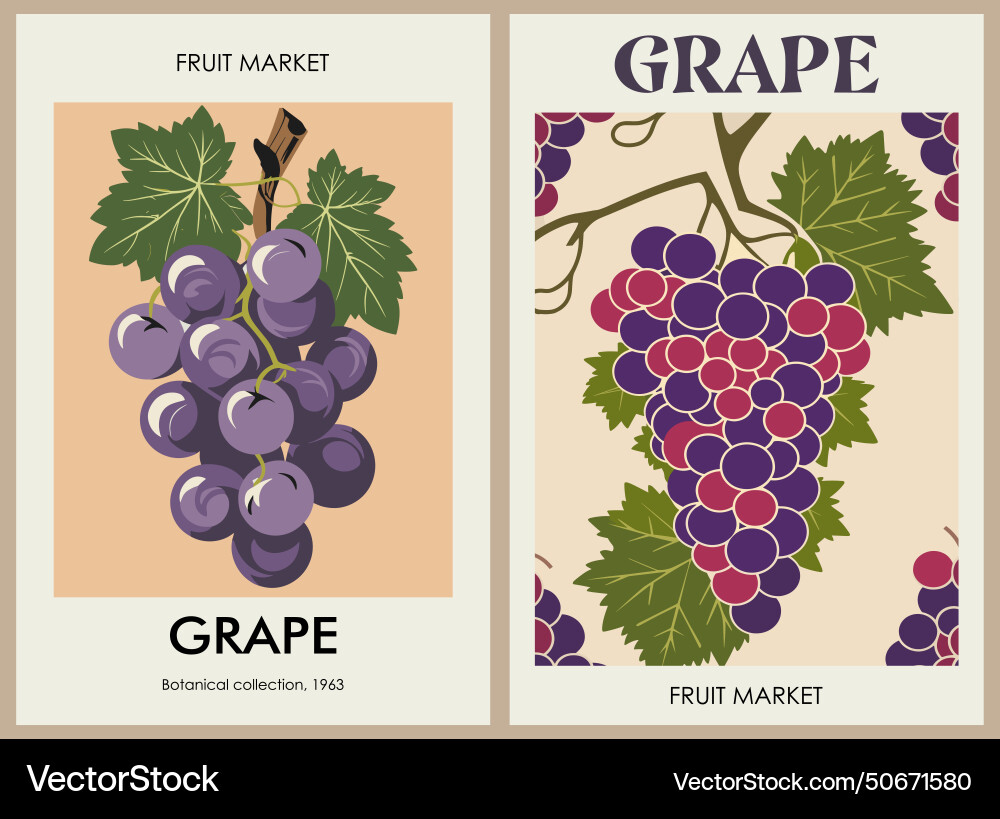 Abstract grape fruit market retro art poster set – Royalty-Free Vector ...