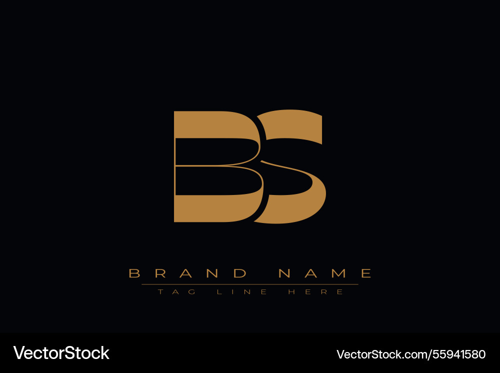 Bs initial letter logo design Royalty Free Vector Image