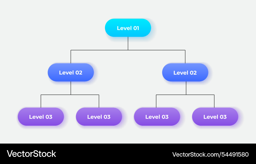 Business hierarchy chart infographics corporate Vector Image