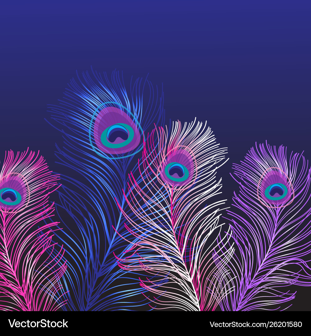 Colorful Peacock Feathers Background Royalty Free Vector