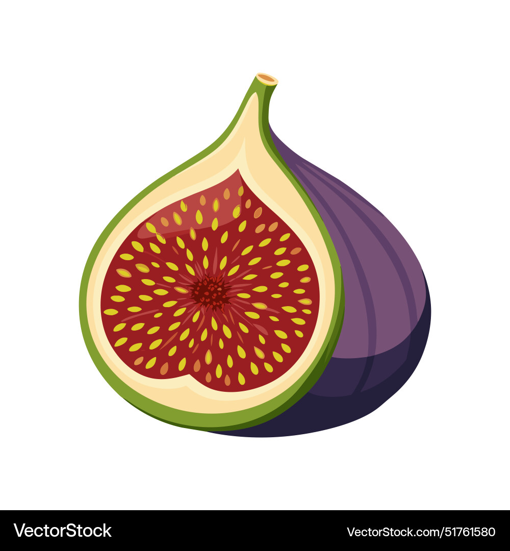 Fig fruit isolated flat Royalty Free Vector Image