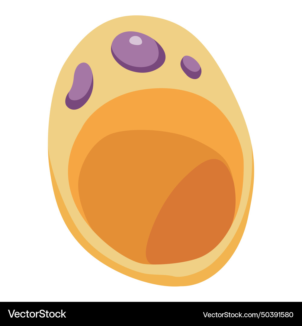 Human cell type icon medicine and biology Vector Image