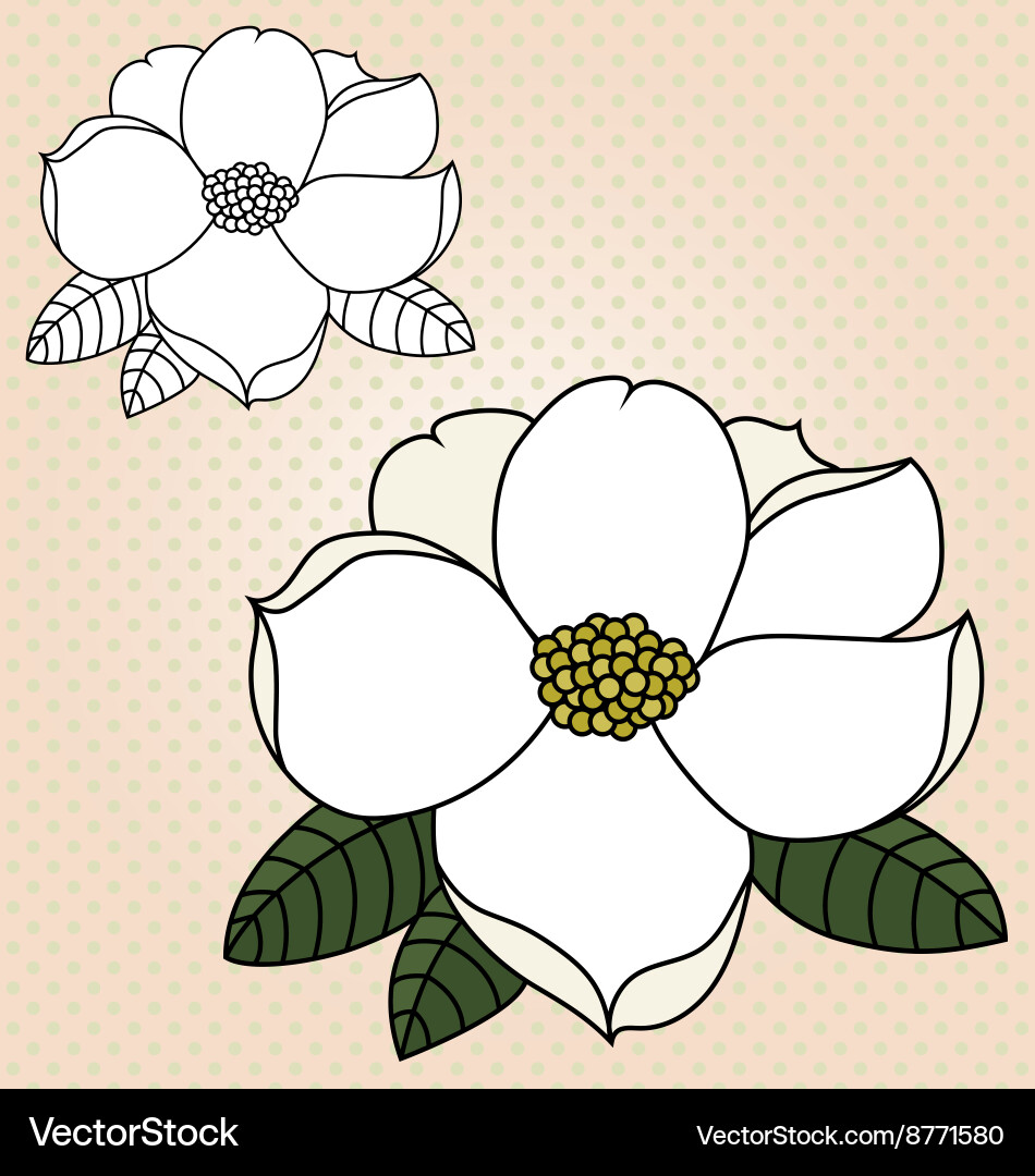 Magnolia Vector Images (over 7,600)