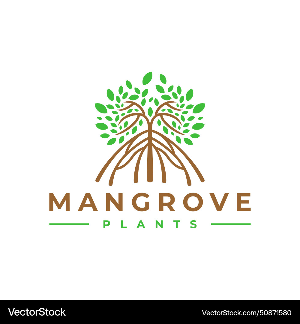 Mangrove plant logo Royalty Free Vector Image - VectorStock