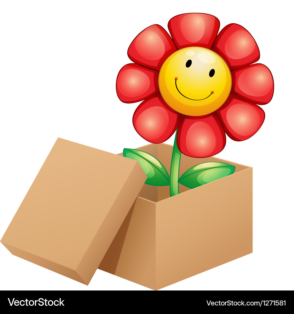 A flower inside the box Royalty Free Vector Image