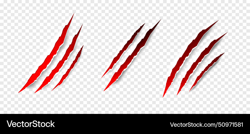 Claws scratches - isolated Royalty Free Vector Image