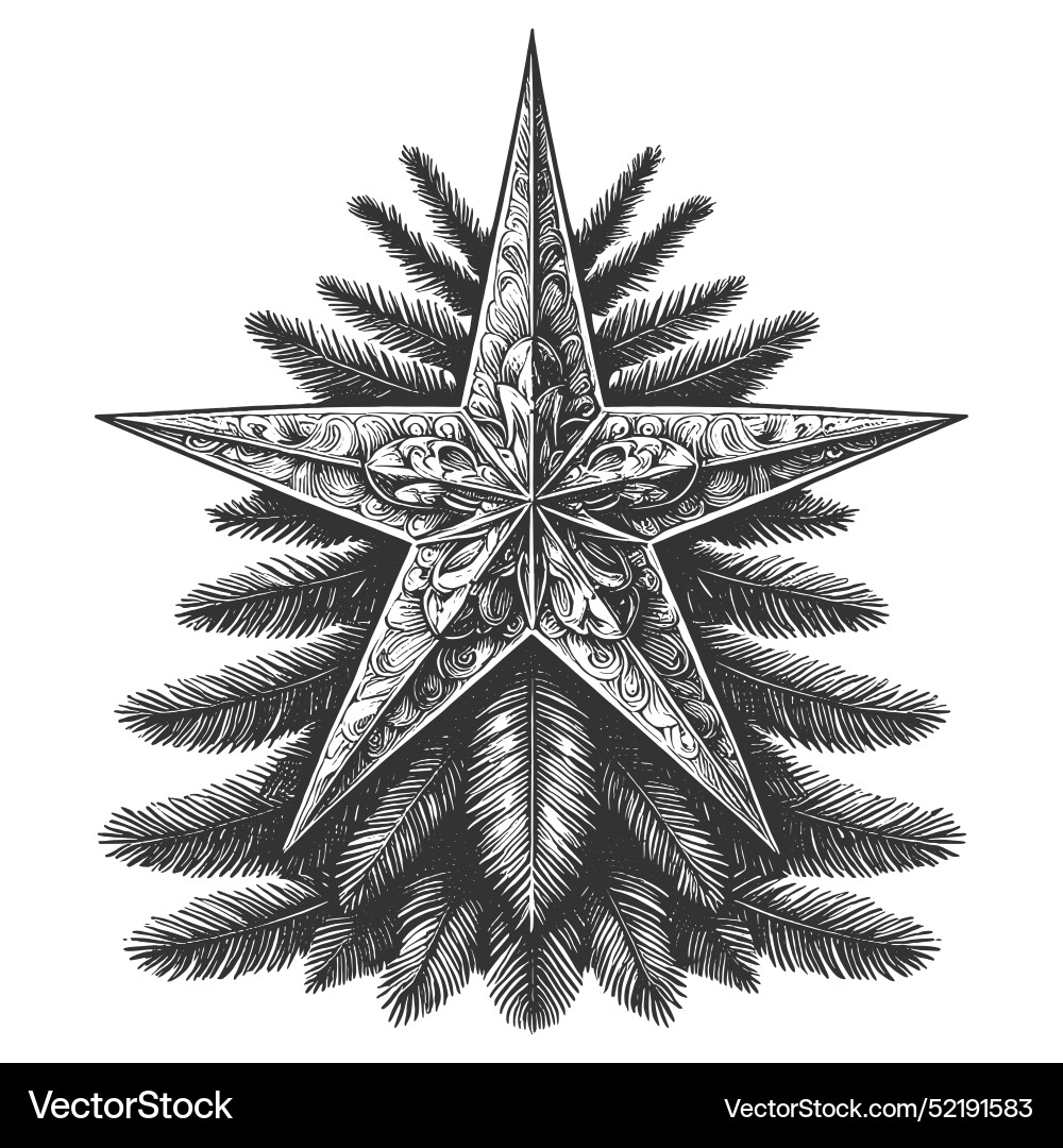 Christmas star pine branches Royalty Free Vector Image