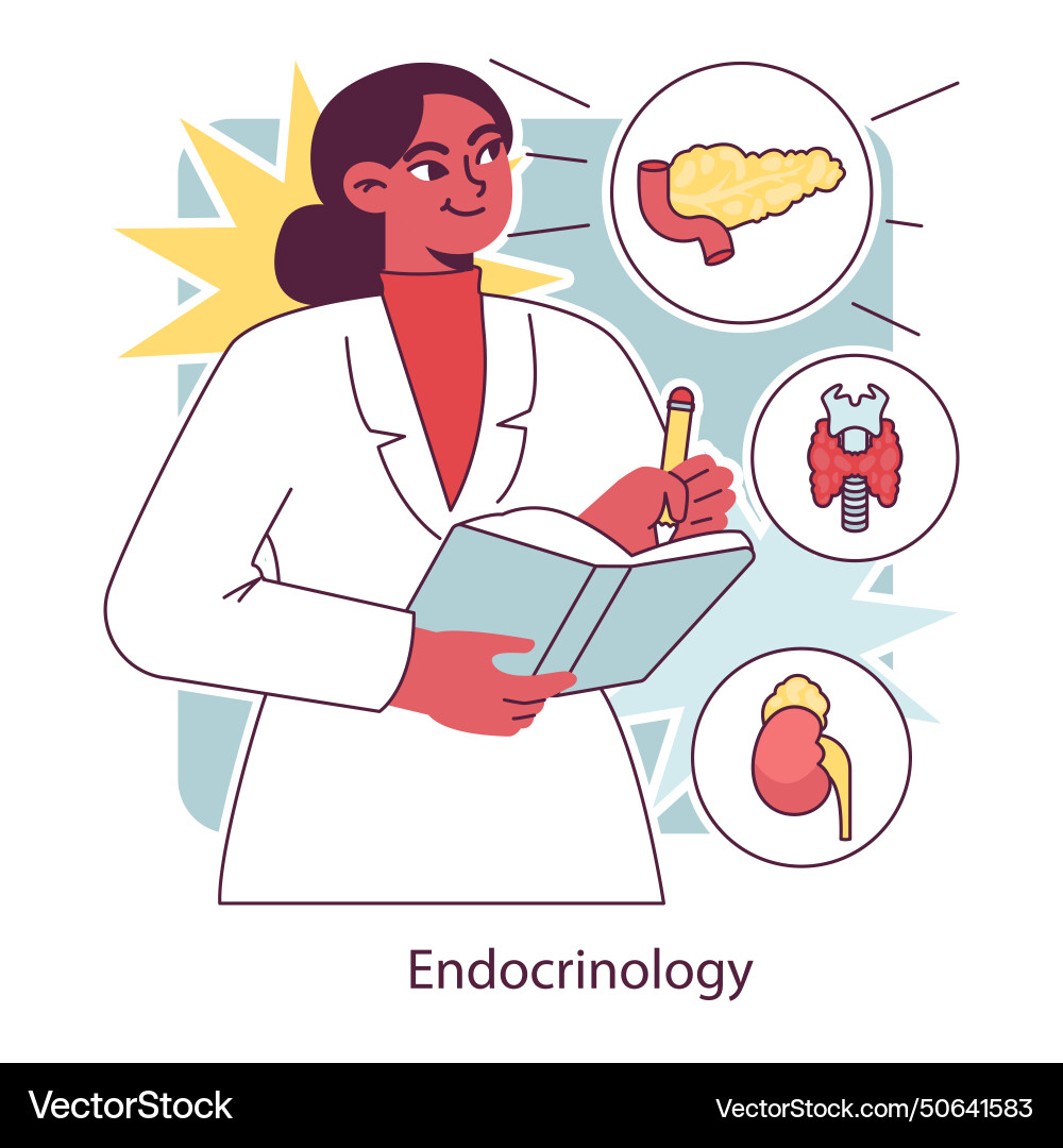 Endocrinology endocrine system organs pancreas Vector Image