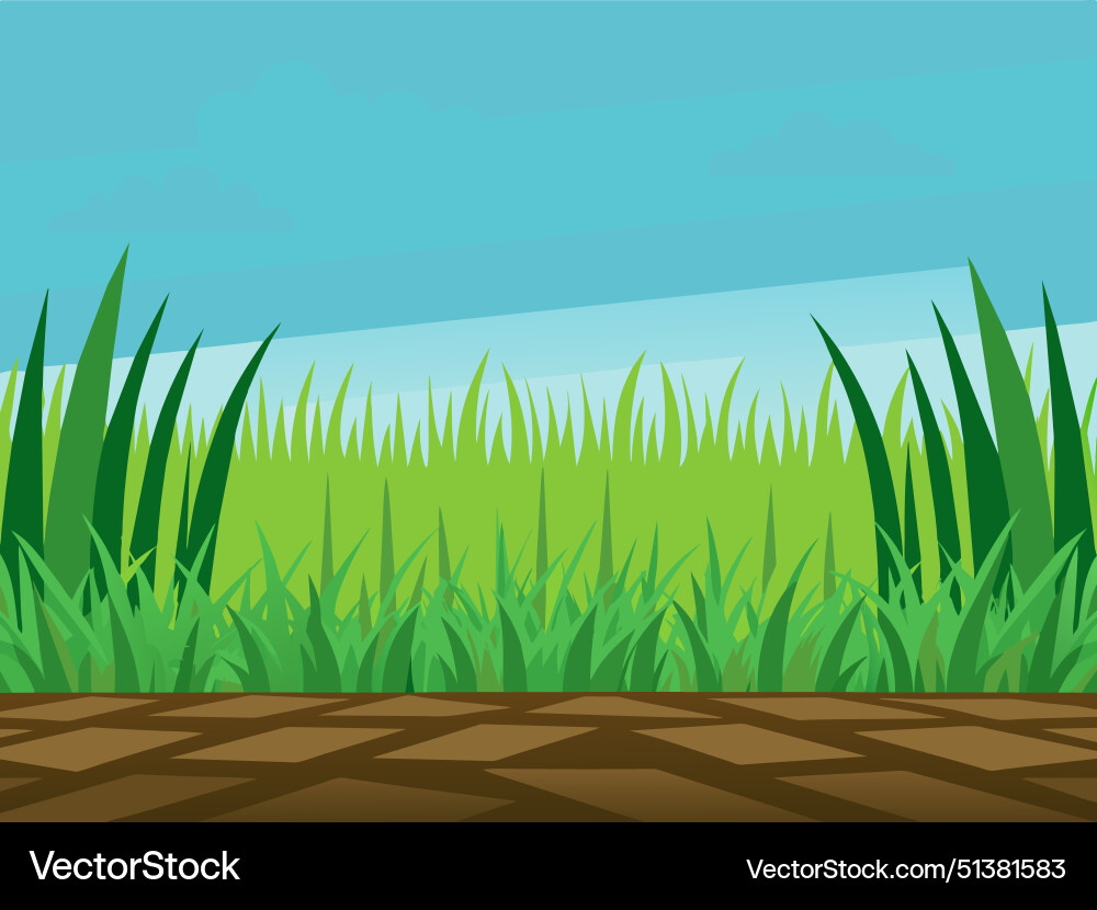 Fresh green spring grass cartoon in lengths Vector Image