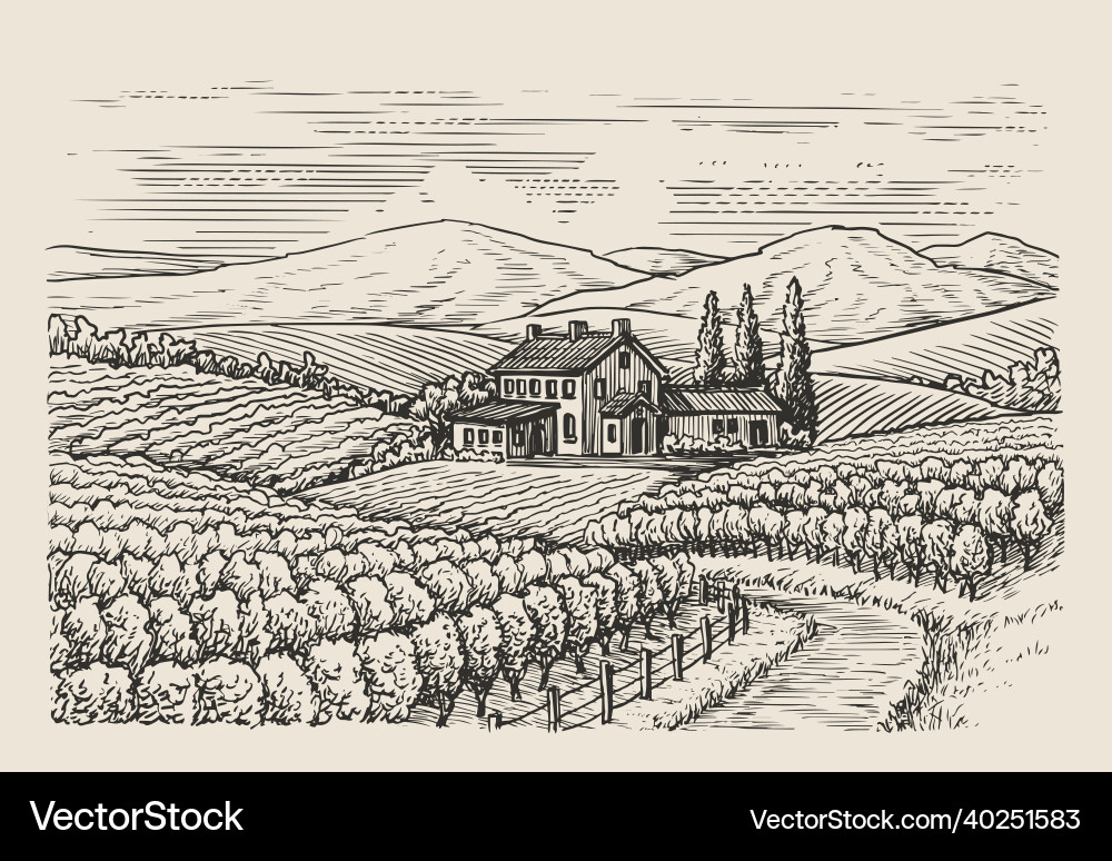 Hand drawn vineyard landscape sketch vintage Vector Image