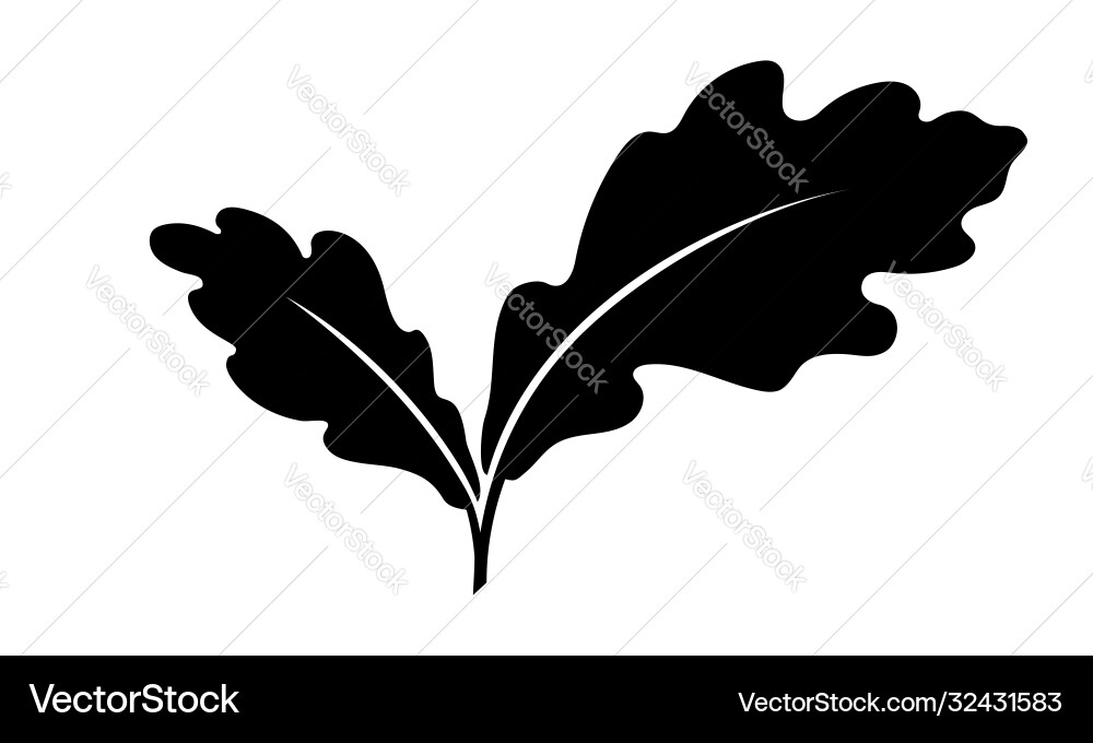 Oak leaves Royalty Free Vector Image - VectorStock