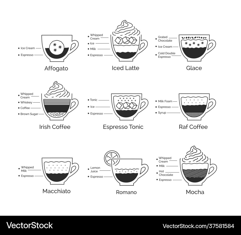 Infographic set coffee recipes Royalty Free Vector Image
