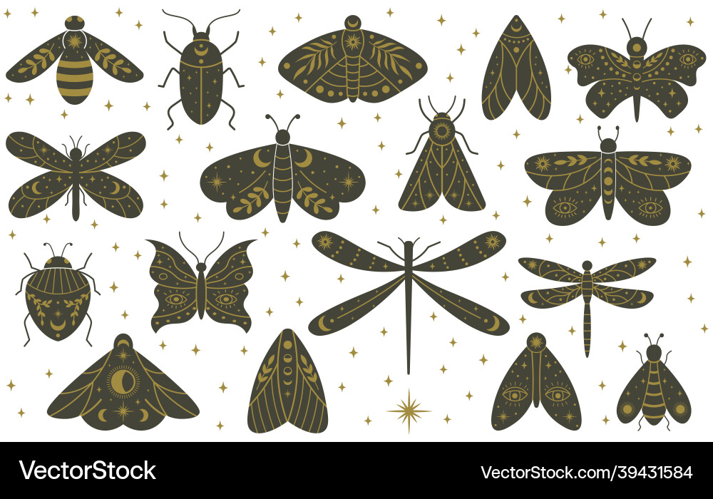 Mystical Boho Moth & Butterfly Royalty Free Vector Image