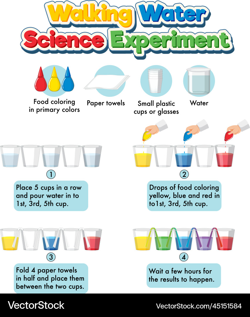 Walking water science experiment Royalty Free Vector Image