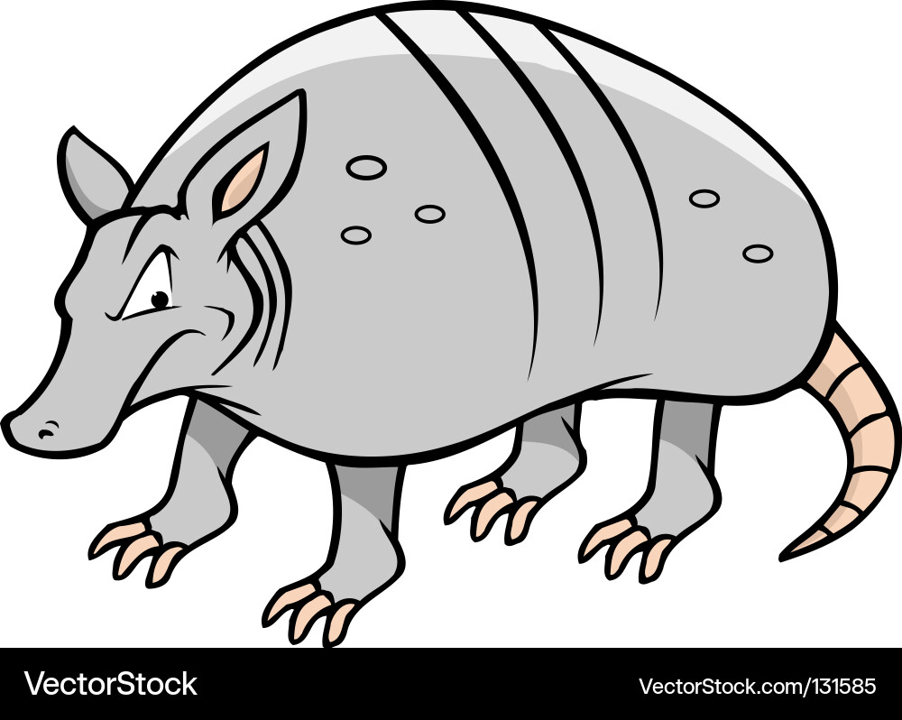 Armadillo Royalty Free Vector Image - VectorStock