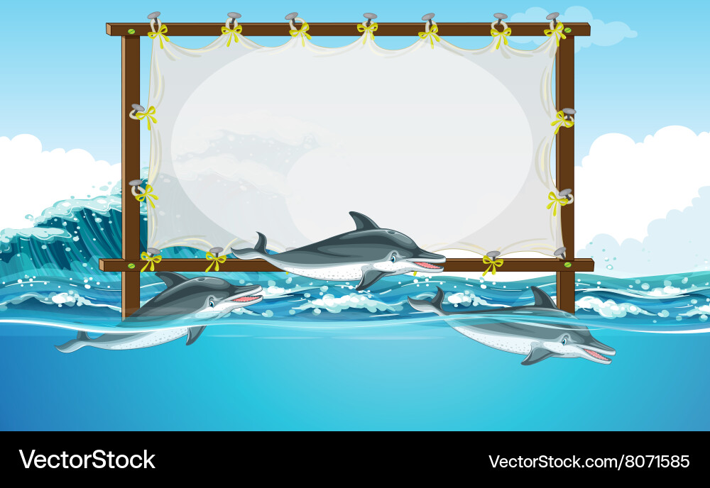 Border design with three dolphins swimming Vector Image
