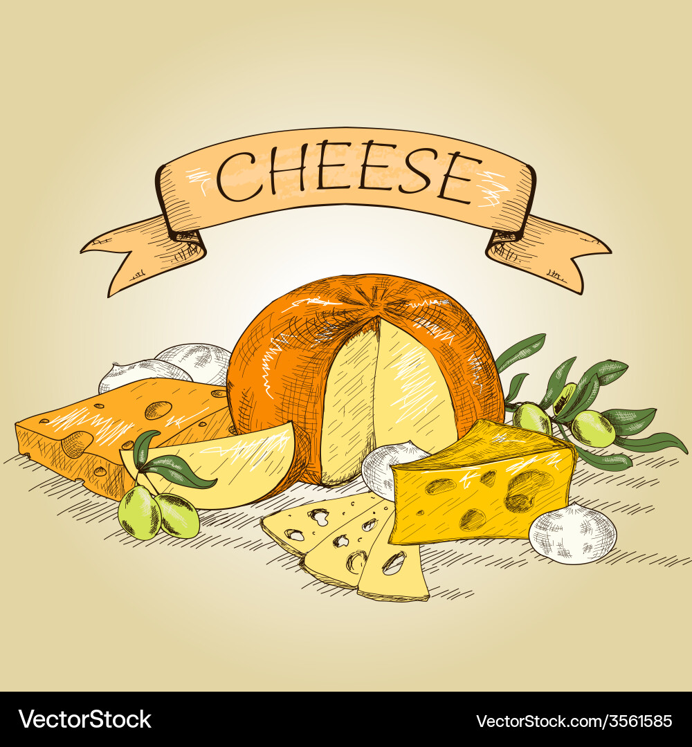 Cheese Royalty Free Vector Image - VectorStock