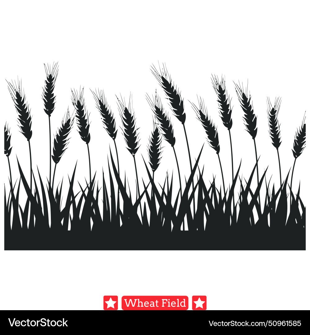 Nature s palette vibrant wheat field set Vector Image