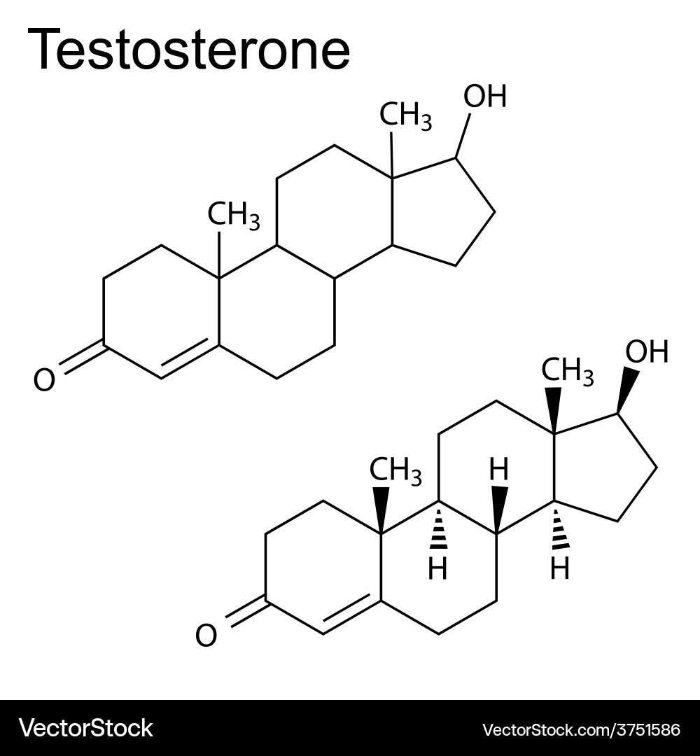 Chemical formulas of testosterone molecule Vector Image