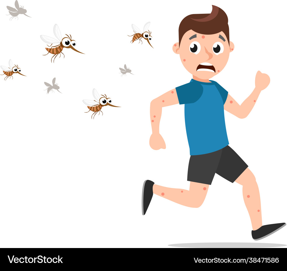 Mosquitoes chasing a bitten guy on white Vector Image