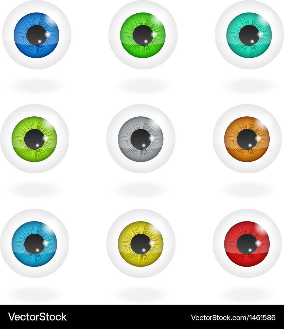 Set of multi-colored eyes Royalty Free Vector Image