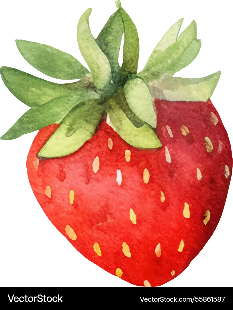 Strawberry Vector Images (over 130,000)