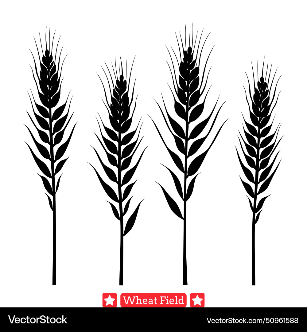 Country elegance graceful wheat field Royalty Free Vector