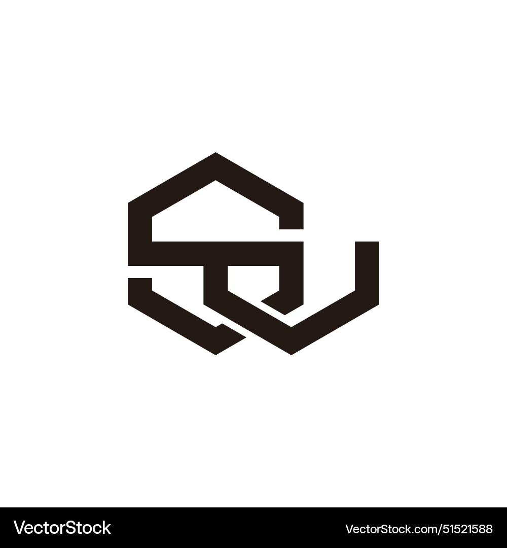 Letter sw geometric hexagon logo Royalty Free Vector Image
