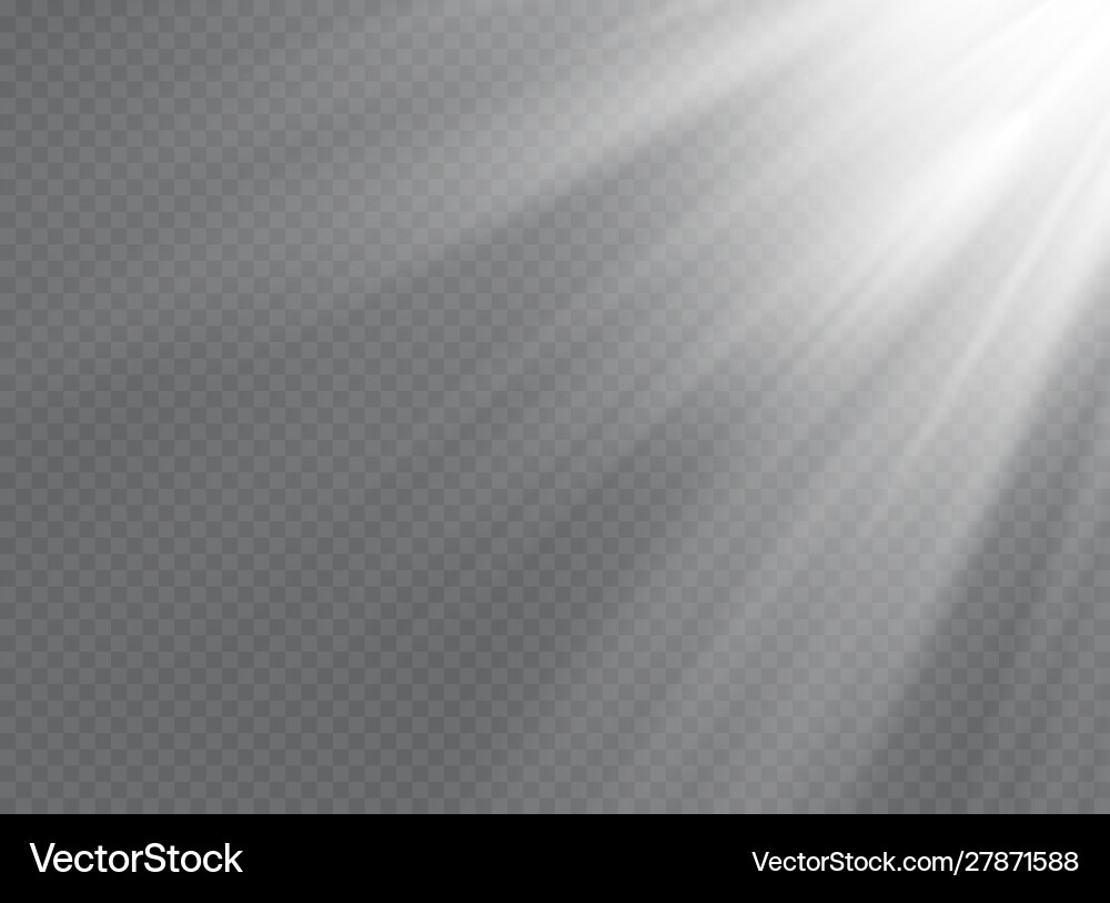 Transparent sunlight special lens flash Royalty Free Vector