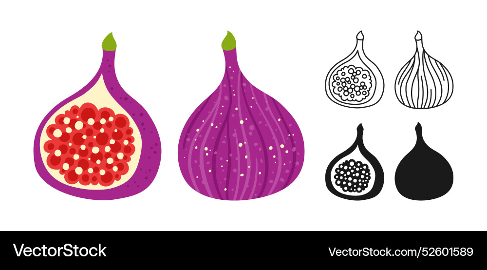 Fig symbol cartoon set ripe half whole figs doodle