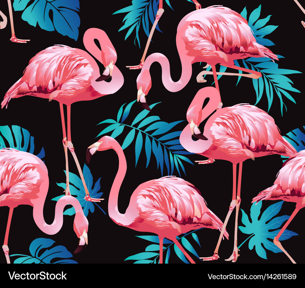 Flamingo bird Royalty Free Vector Image - VectorStock